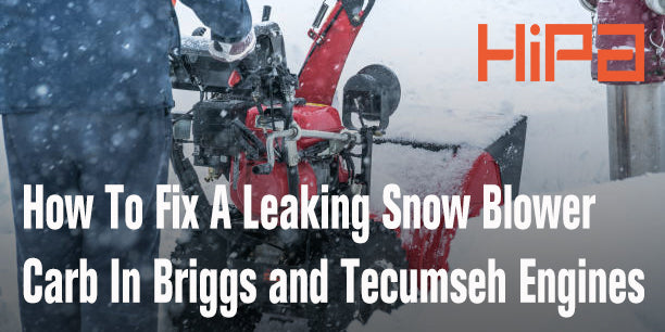 HOW TO Fix A Leaking Snow Blower Carb in BRIGGS and TECUMSEH Engines ...