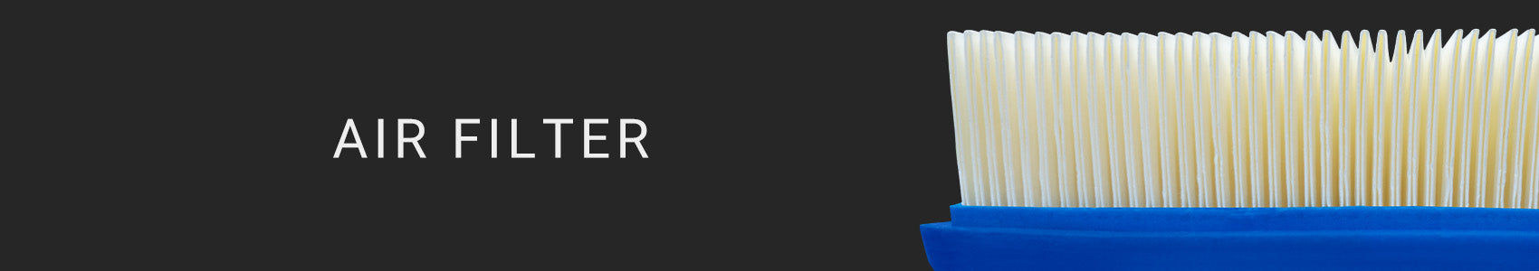 Briggs & Stratton Engine Air Filter – Hipa